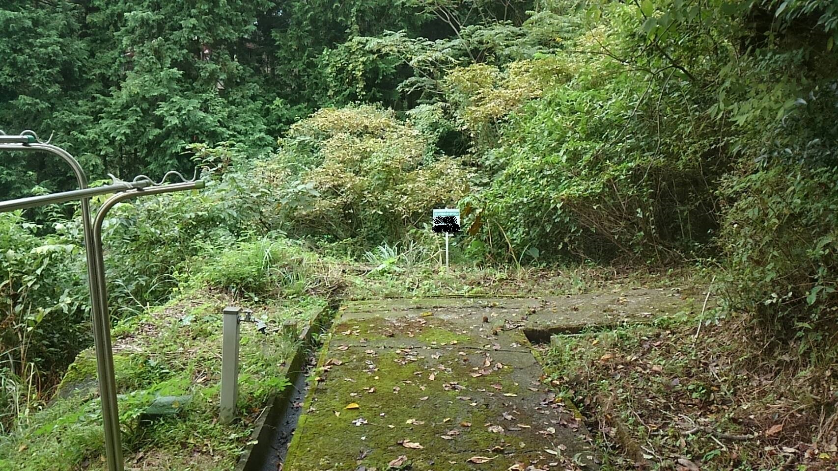 %e3%82%a8%e3%83%a1%e3%83%a9%e3%83%ab%e3%83%89%e3%82%bf%e3%82%a6%e3%83 ...