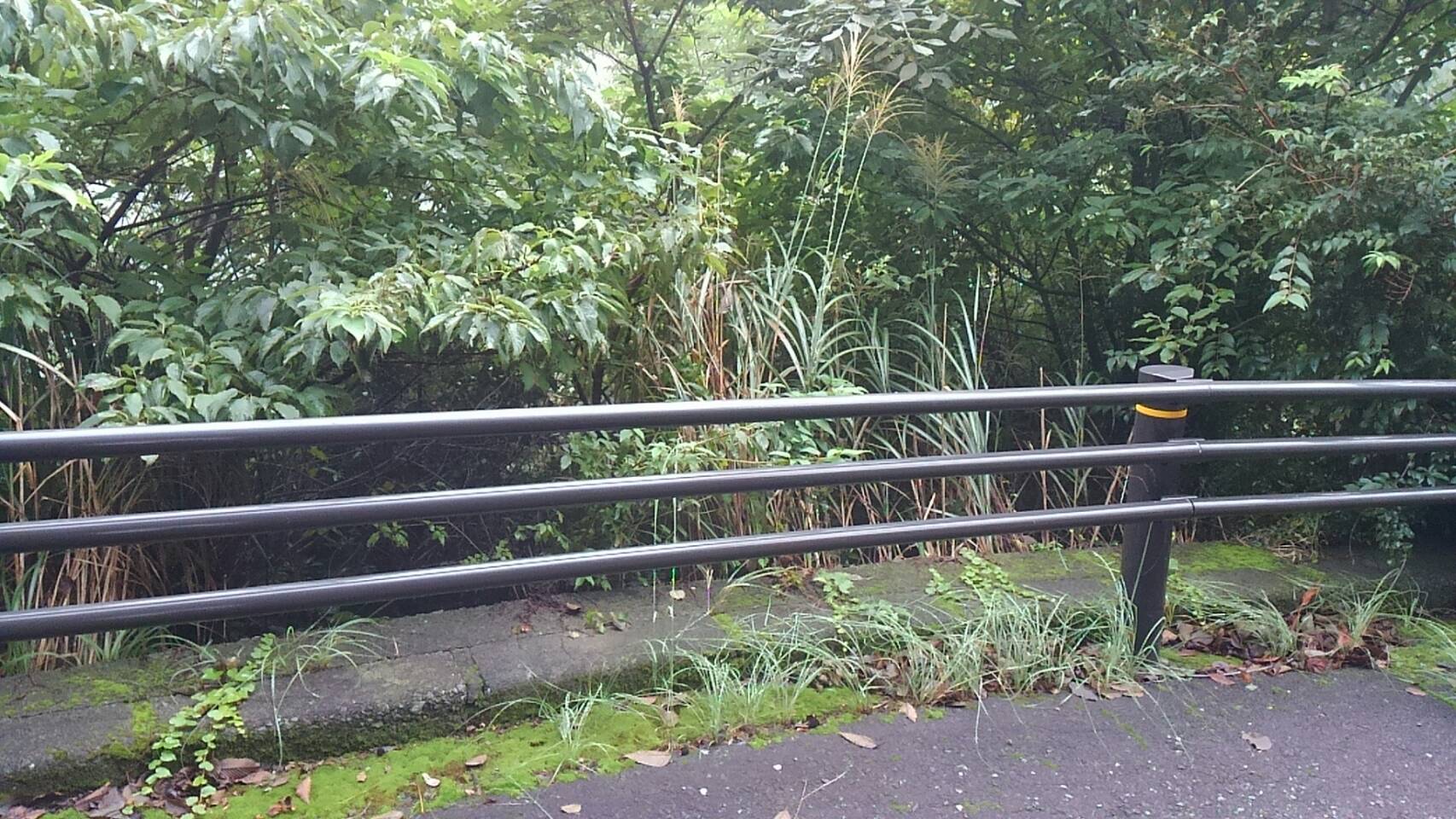 %e7%86%b1%e6%b5%b7%e8%87%aa%e7%84%b6%e9%83%b7-290%e4%b8%87-%e6%a8%aa%e5 ...