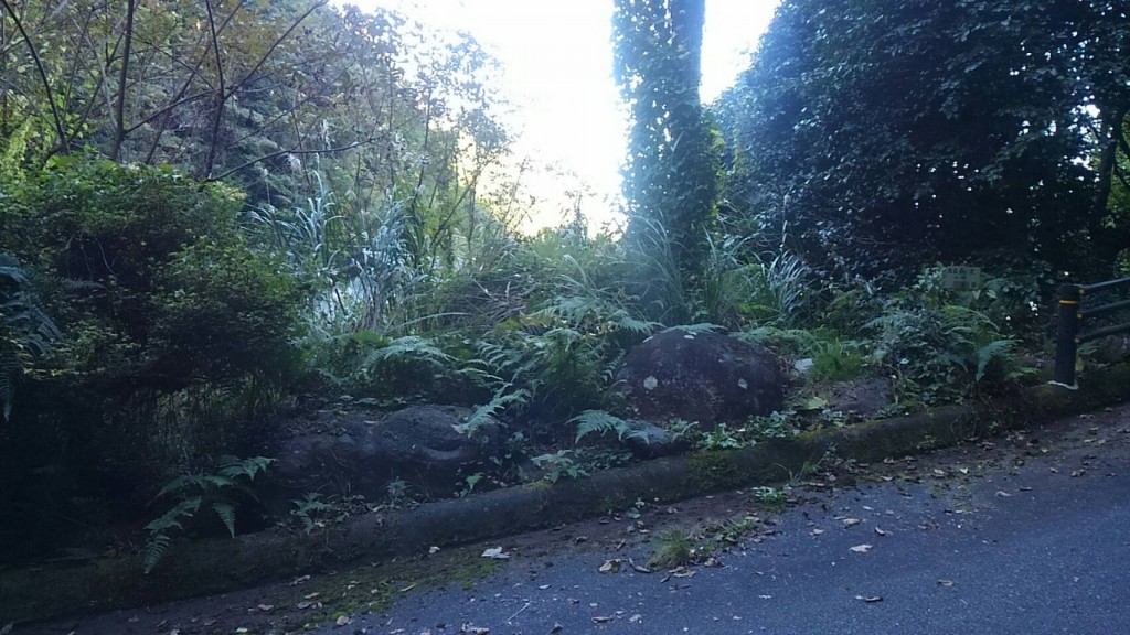 %e7%86%b1%e6%b5%b7%e8%87%aa%e7%84%b6%e9%83%b7-448%e4%b8%87-%e4%b8%ad%e6 ...