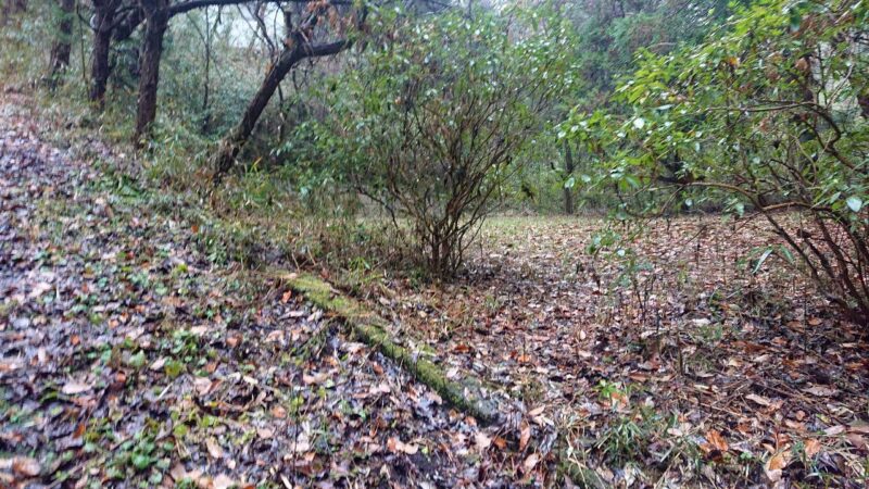 鉾田市青山 | Second-Life