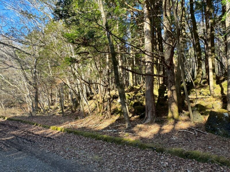 十里木高原 | Second-Life